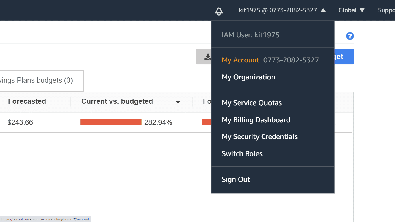 Step-by-Step Tutorial for AWS Account Information - CloudySave